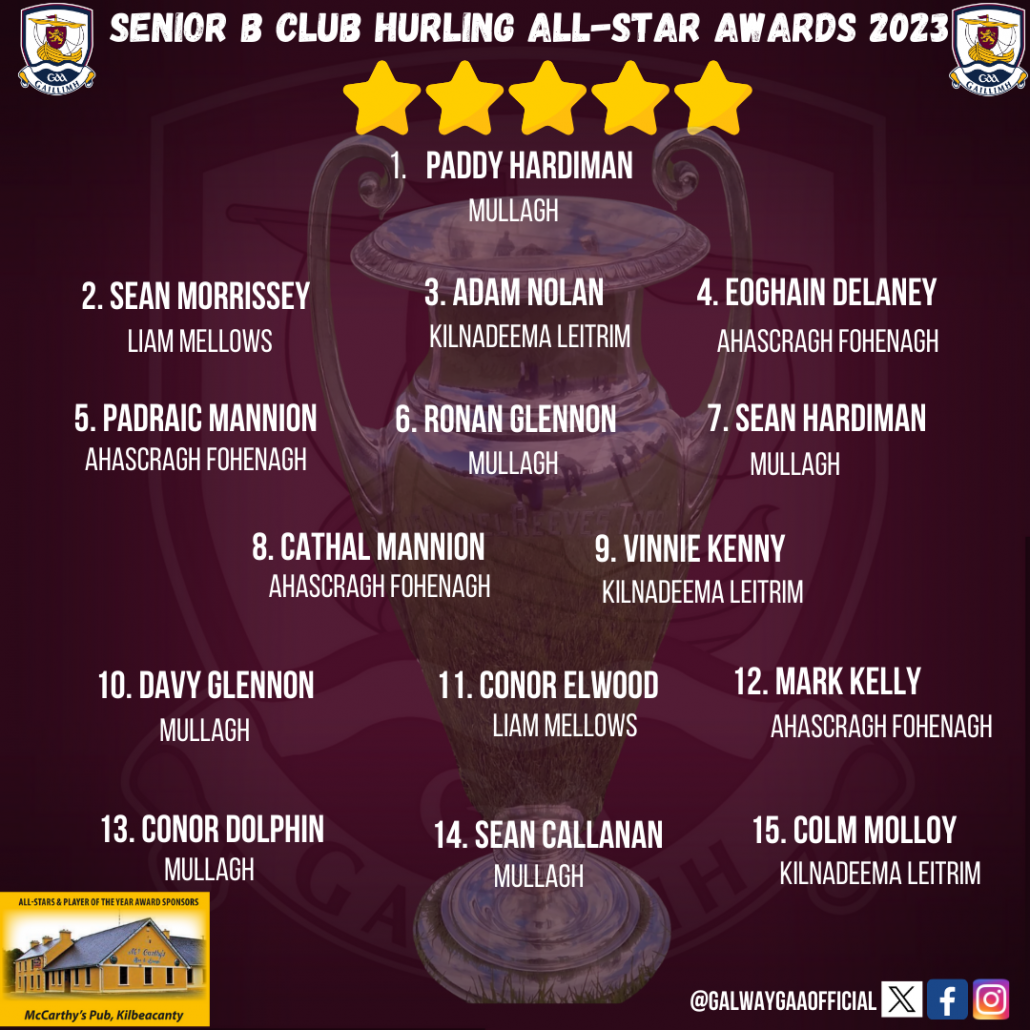 Club Hurling All-Stars announced – Galway GAA