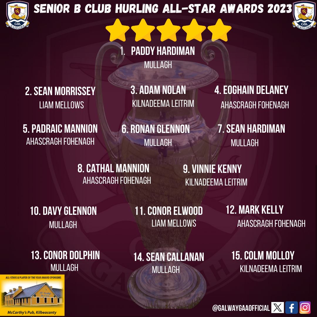 Club Hurling All-Stars announced – Galway GAA