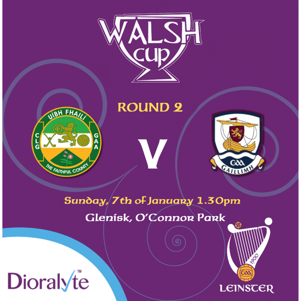 Walsh Cup Hurling action – Galway GAA